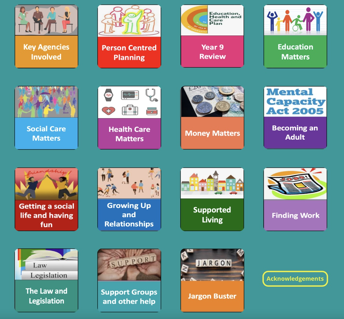 The Moving Into Adulthood Handbook